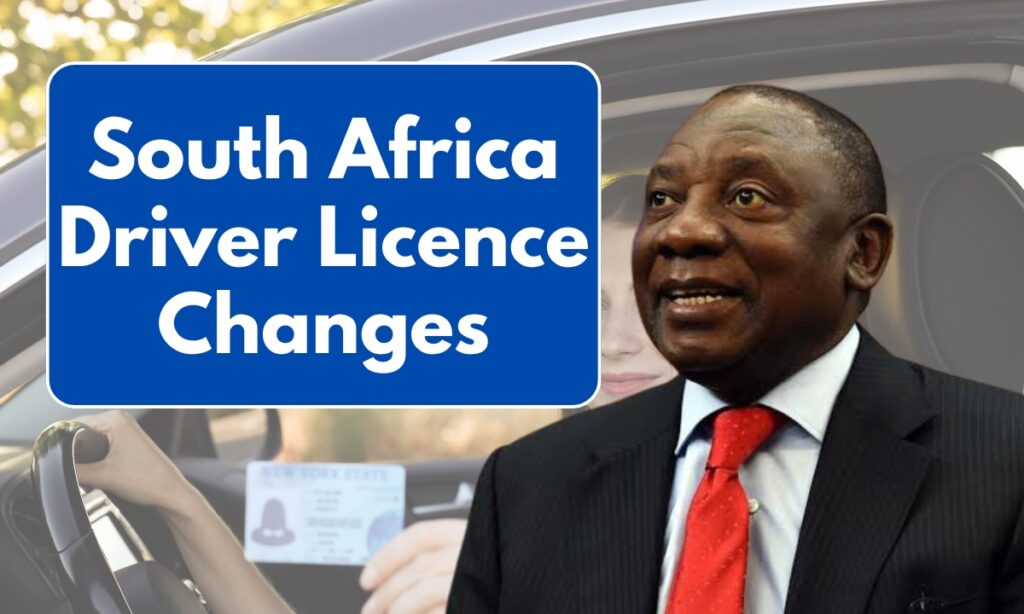 South Africa Driver Licence Changes 2026: New Cards, Rules And Renewal ...